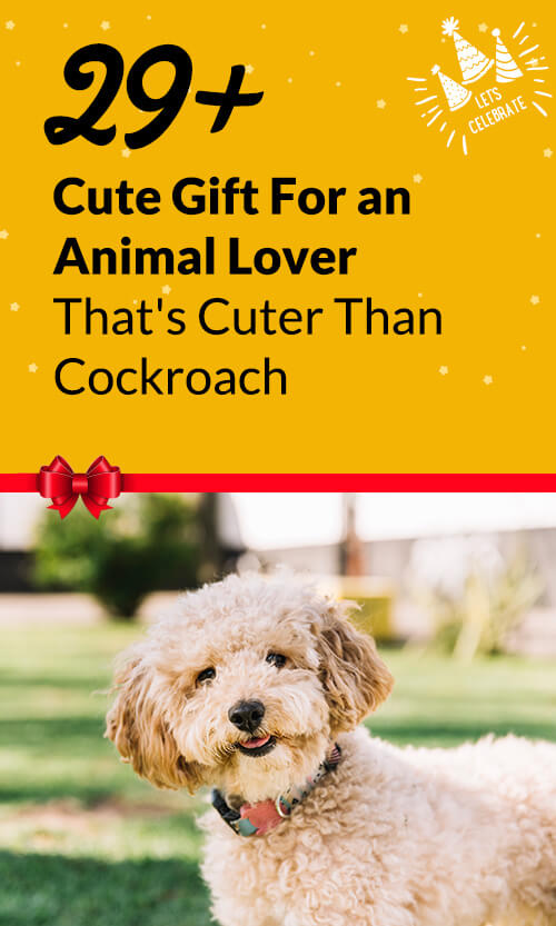 24 Cute Gifts For Penguin Lovers That Make Them Awww..